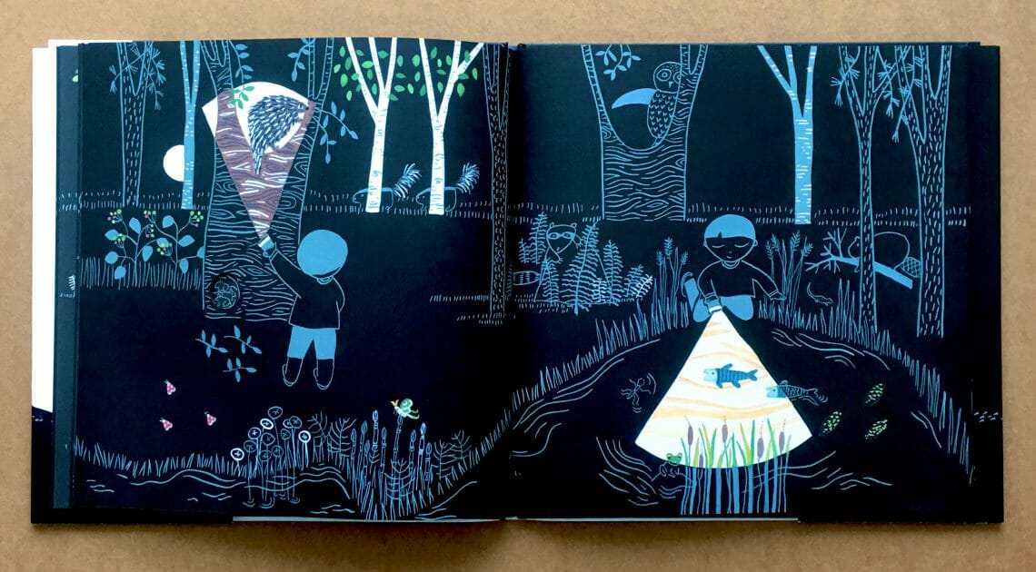 Flashlight – Wordless Books