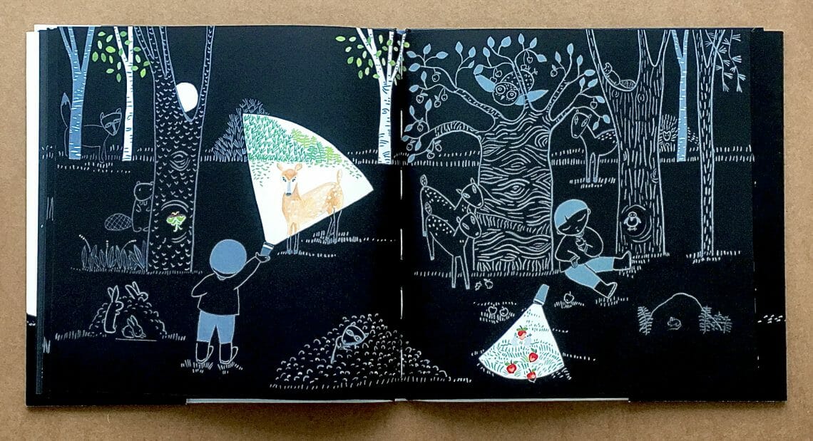 Flashlight – Wordless Books
